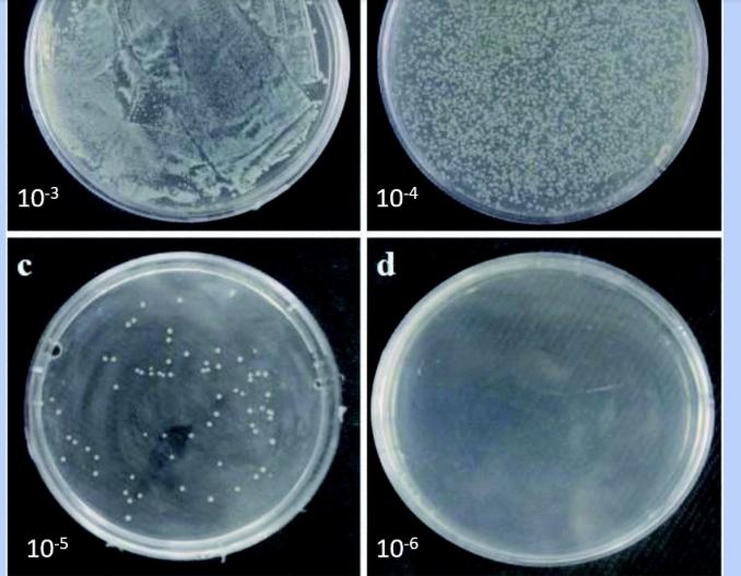 Solved To determine the extent of the contamination at the | Chegg.com