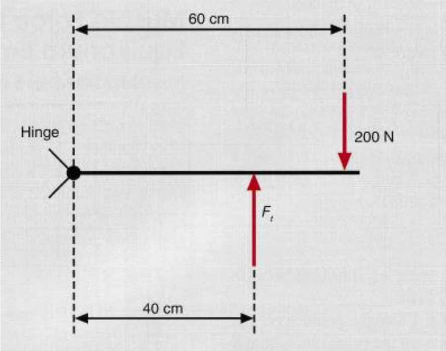 Solved Julie is pushing on a door with a horizontal force of | Chegg.com