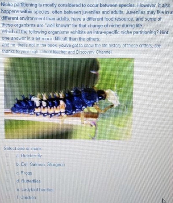 Solved Niche partitioning is mostly considered to occur | Chegg.com