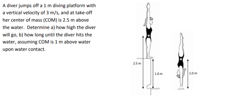 Solved A diver jumps off a 1 m diving platform with a | Chegg.com