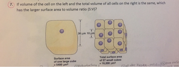 Solved If volume of the cell on the left and the total | Chegg.com