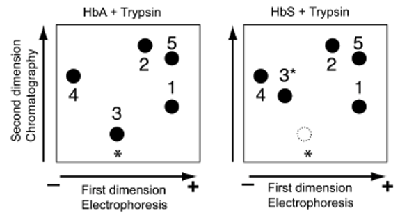 Solved The following diagram 1 shows the position of 5 | Chegg.com