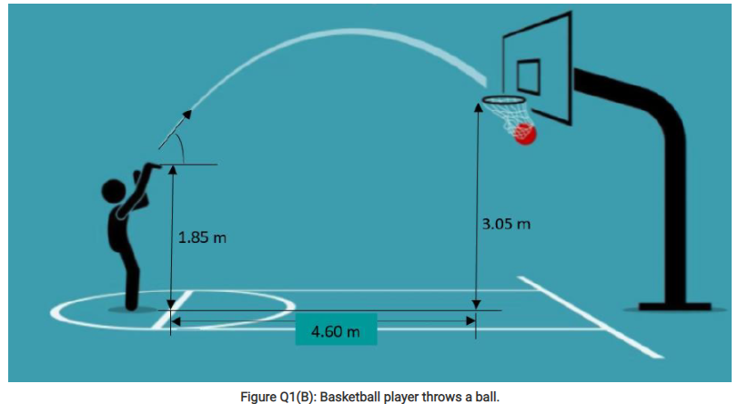 Solved A basketball player throws a ball with at angle of | Chegg.com