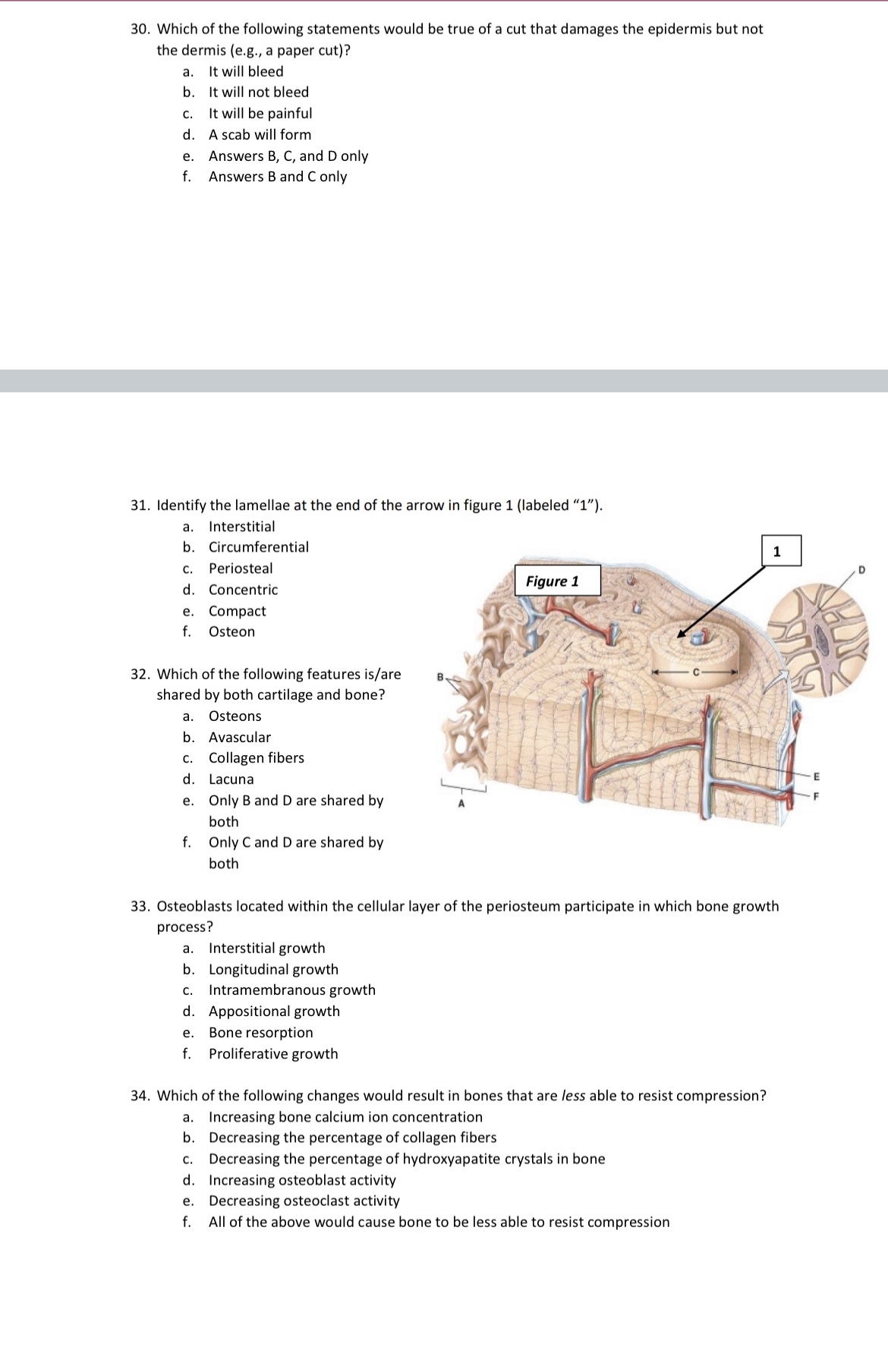 Solved 6. Which of the following directional term statements | Chegg.com