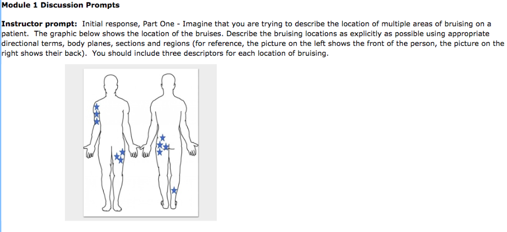 Solved Module 1 Discussion Prompts Instructor prompt: | Chegg.com