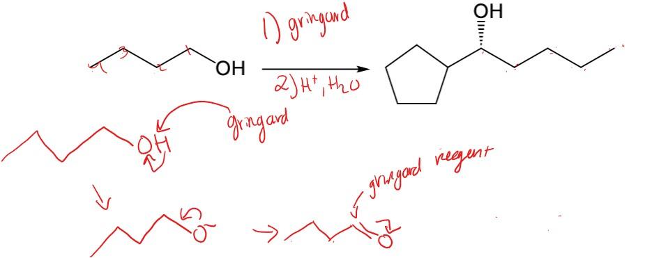 Solved would I be right in thinking the gringard reagent | Chegg.com