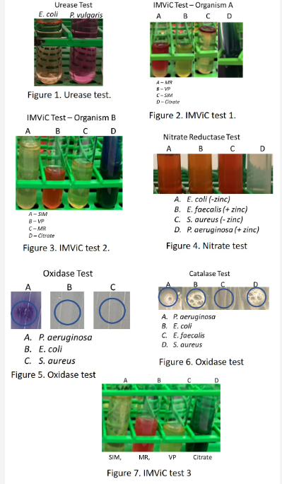 Solved Which of these tests are involved in nitrogen | Chegg.com