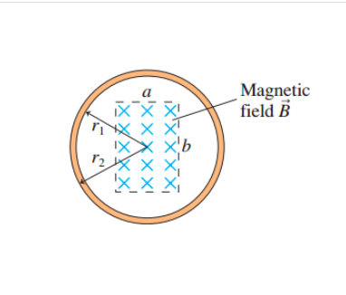 Solved What is the magnetic flux through the loop shown in | Chegg.com