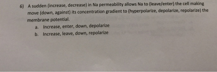 Solved A sudden (increase, decrease) in Na permeability | Chegg.com