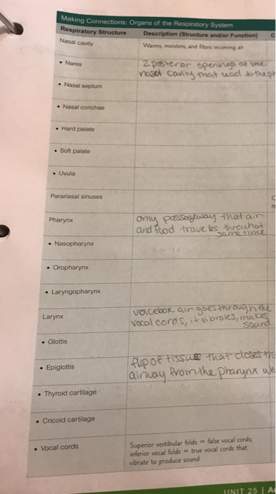 Solved Making Connections: Organs of the Respiratory System | Chegg.com
