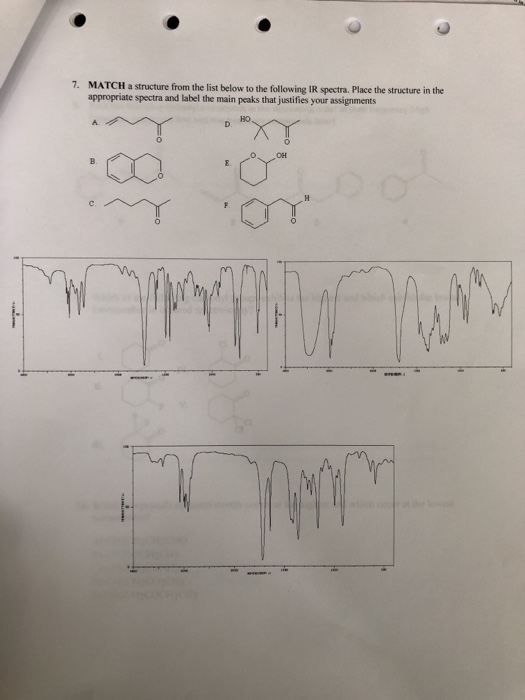 Solved Match each of the compound with the appropriate IR | Chegg.com