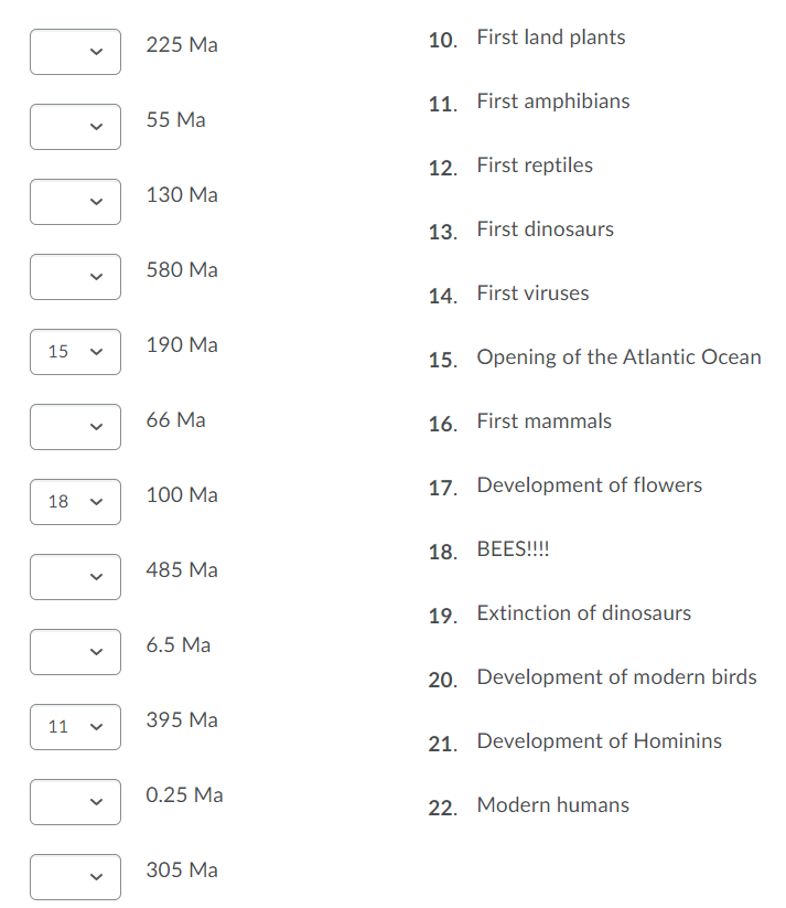 Solved Using lectures, lecture slides, the textbook if you | Chegg.com