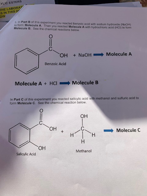 Solved Now look at the structures of the molecules below, | Chegg.com
