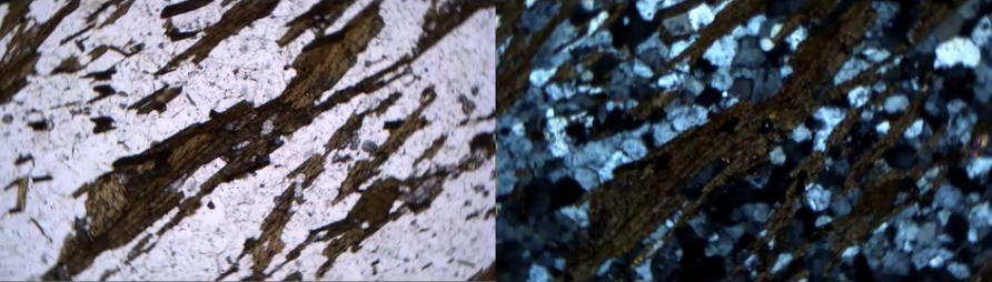 Solved Please help answer these questions for the following | Chegg.com