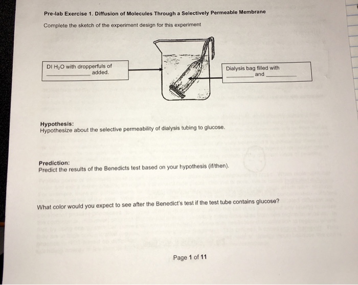 Solved Pre-lab Exercise 1. Diffusion of Molecules Through a | Chegg.com