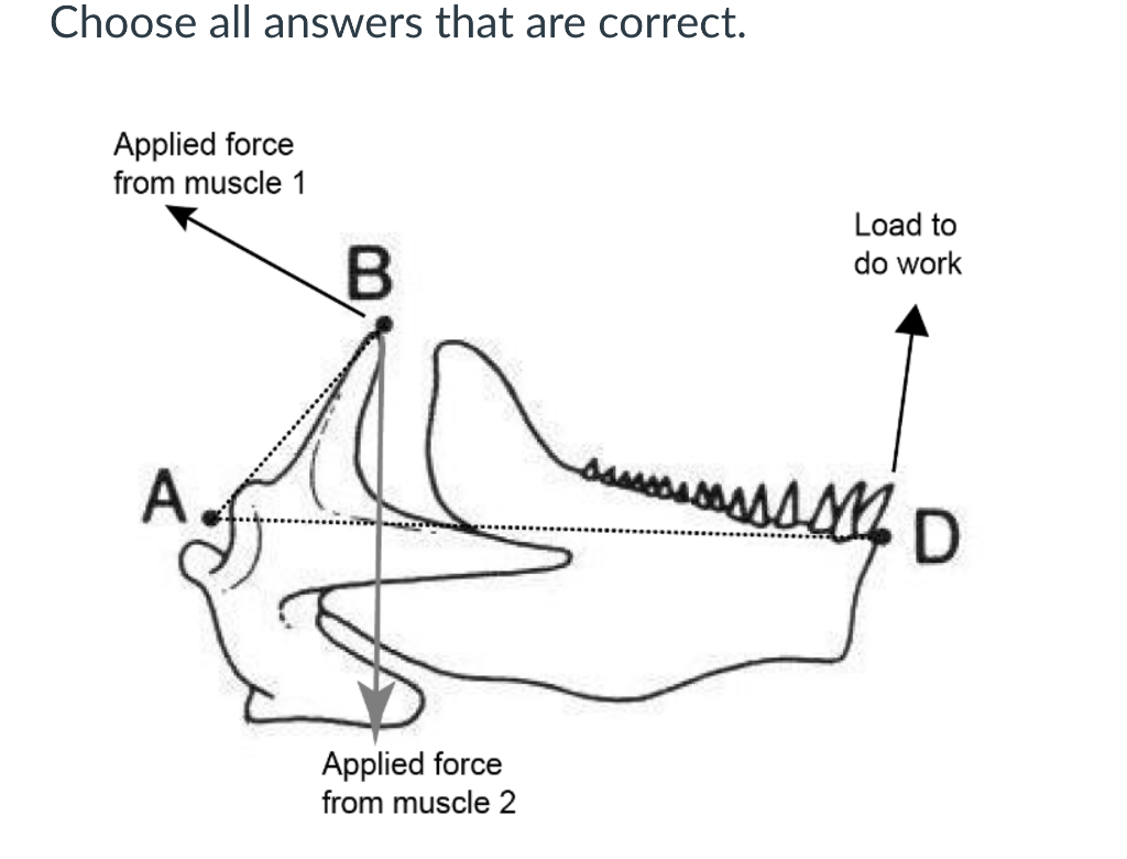 Solved Fish ecology Some fish bite their food and need to | Chegg.com