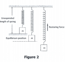 Solved Evaluate the movement of the spring-mass system shown | Chegg.com