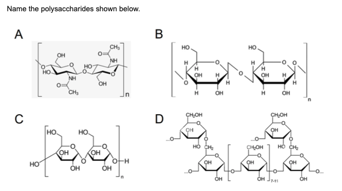 Solved Name the polysaccharides shown below. | Chegg.com