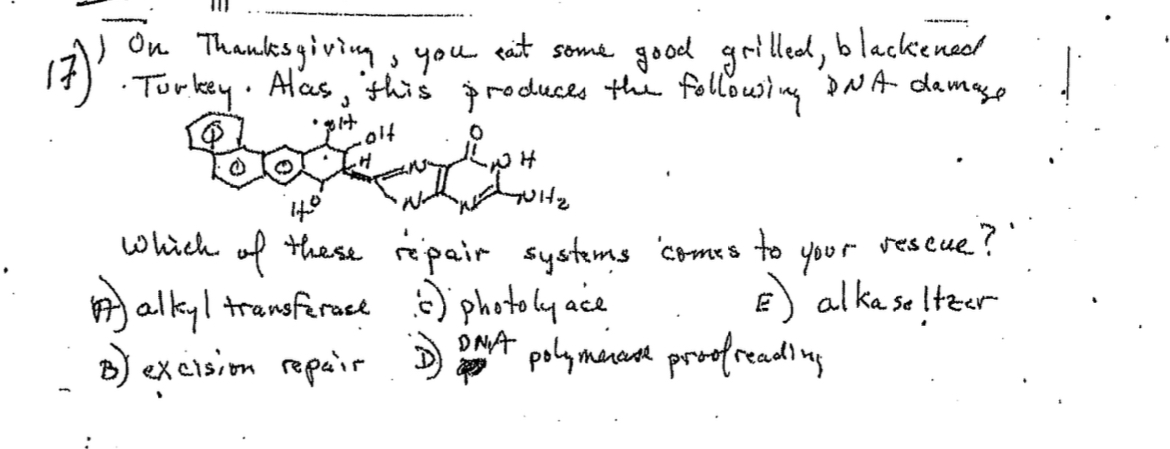 Solved (7) On Thanksgiving sou eat some good grilled, | Chegg.com
