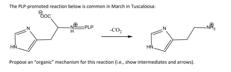 Solved The PLP-promoted reaction below is common in March in | Chegg.com