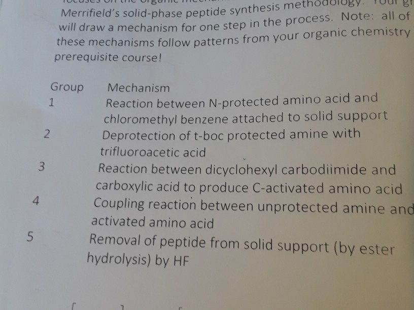 Solved method ulg Merrifield's solid-phase peptide synthesis | Chegg.com