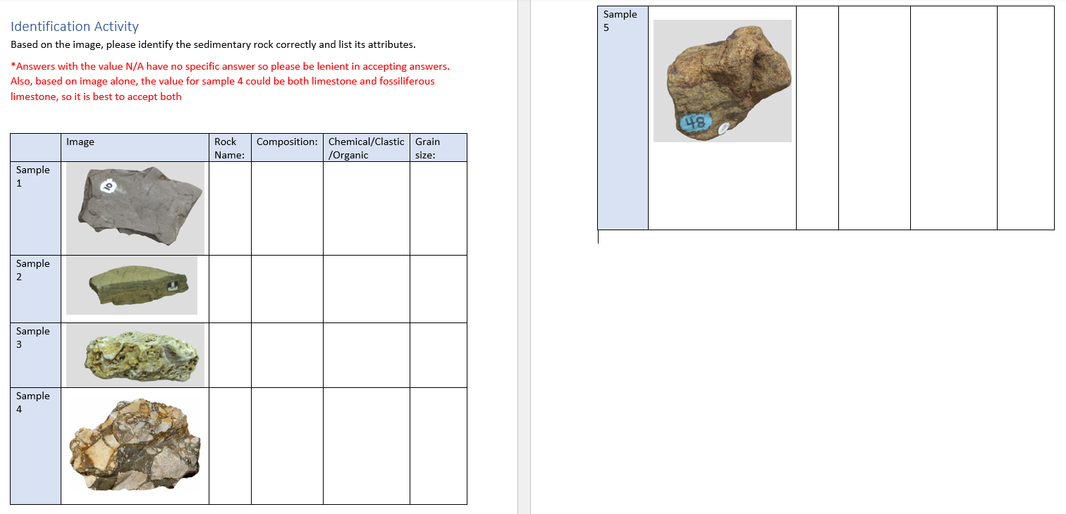 Solved Sample 5 Identification Activity Based on the image, | Chegg.com