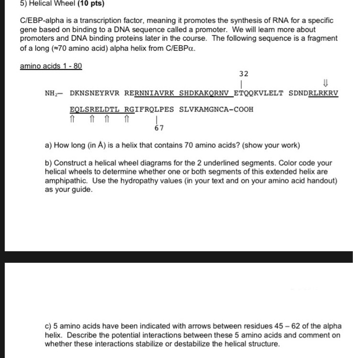 Solved 5) Helical Wheel (10 pts) CIEBP-alpha is a | Chegg.com