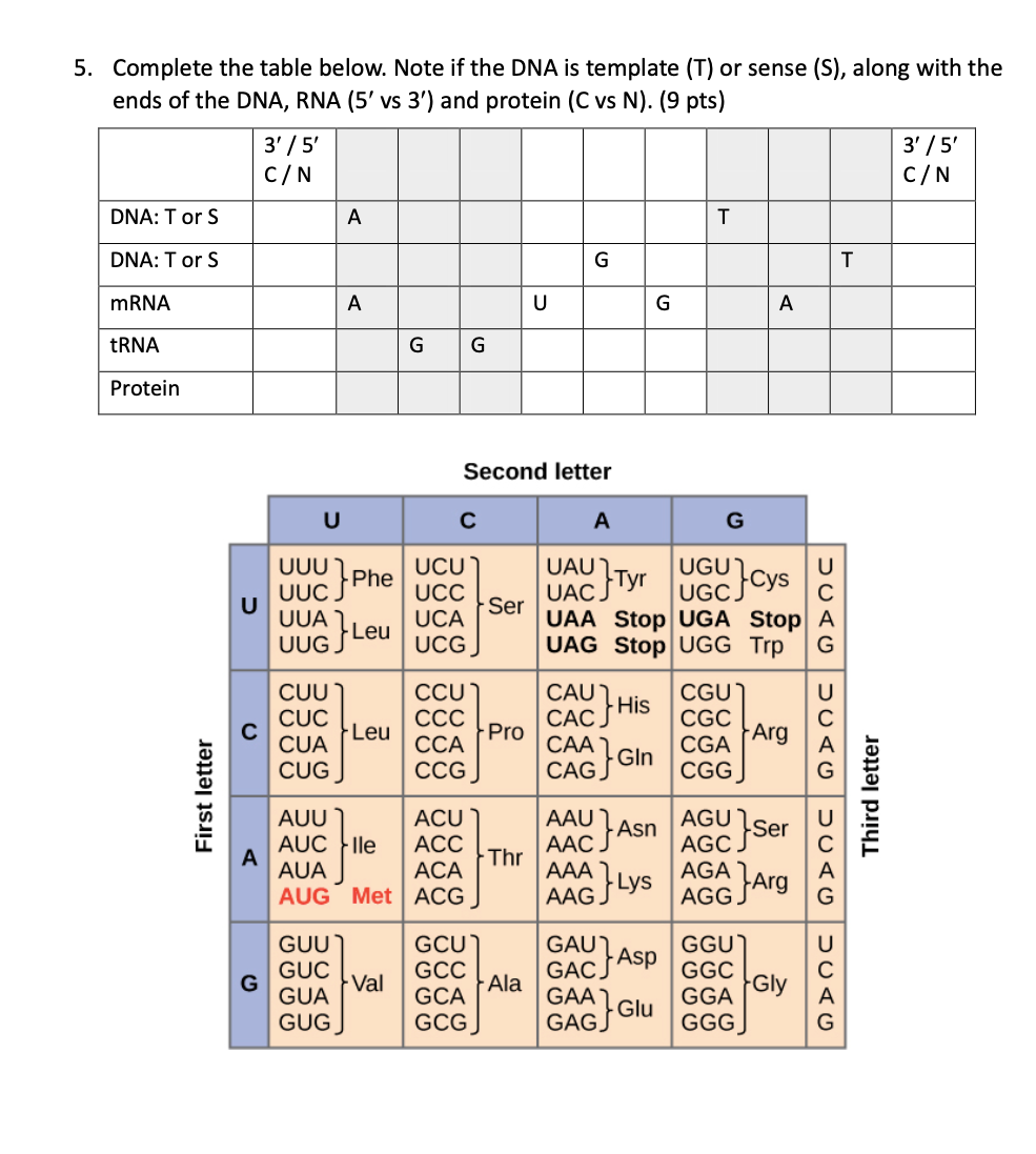 Solved 5. Complete the table below. Note if the DNA is | Chegg.com