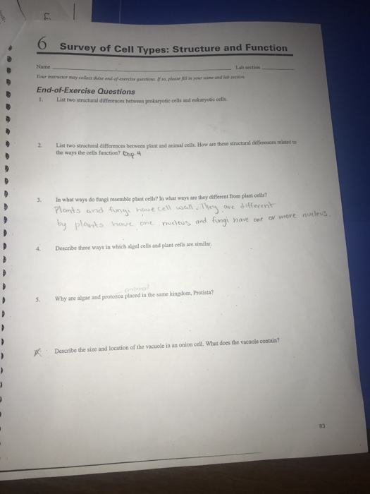 Solved C. O Survey of Cell Types: Structure and Function Lab | Chegg.com