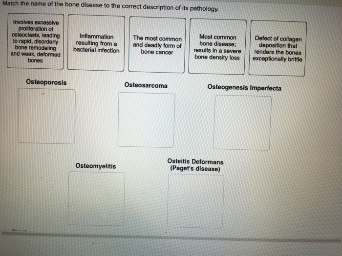 Solved Match the name of the bone disease to the correct | Chegg.com