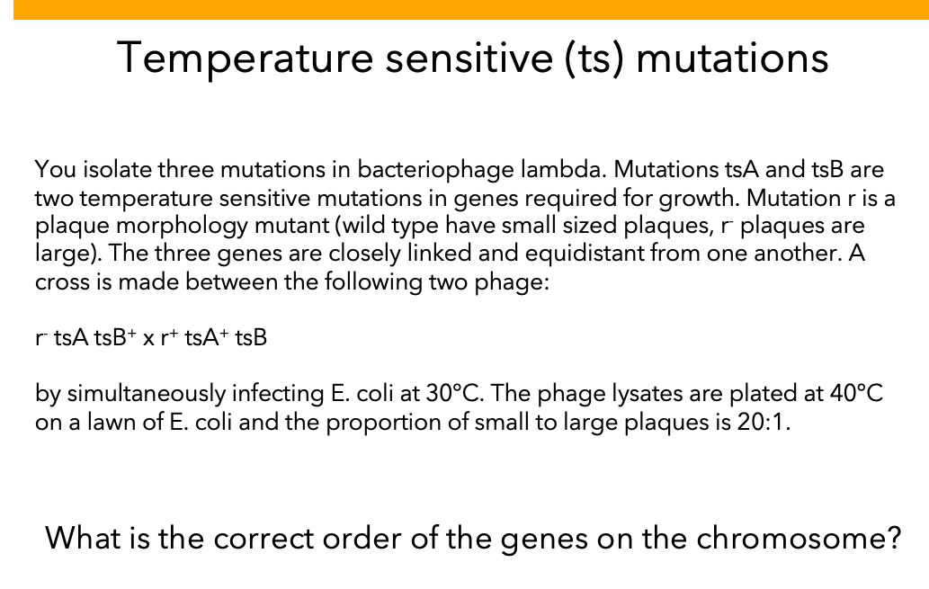 Solved Temperature sensitive (ts) mutations You isolate | Chegg.com