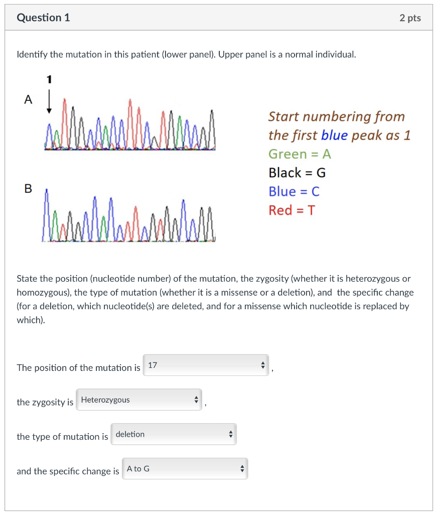 Solved Question 1 2 pts Identify the mutation in this | Chegg.com