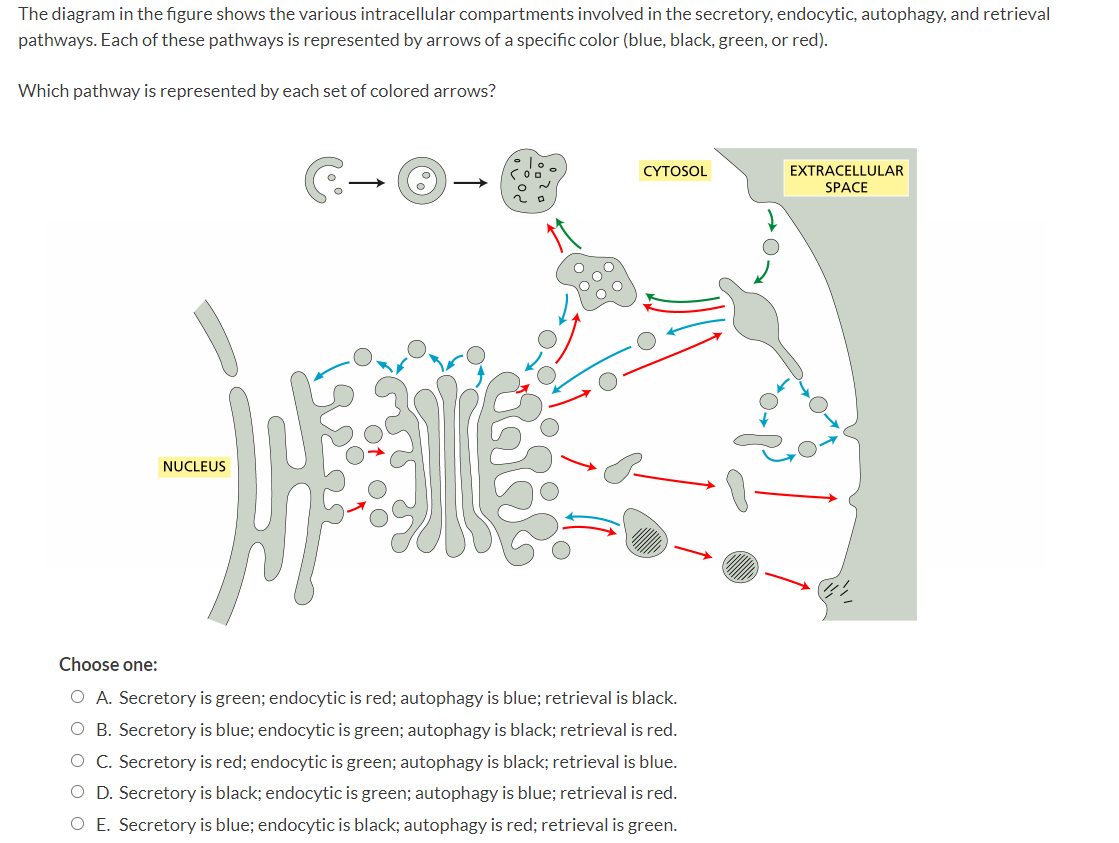 Solved The diagram in the figure shows the various | Chegg.com