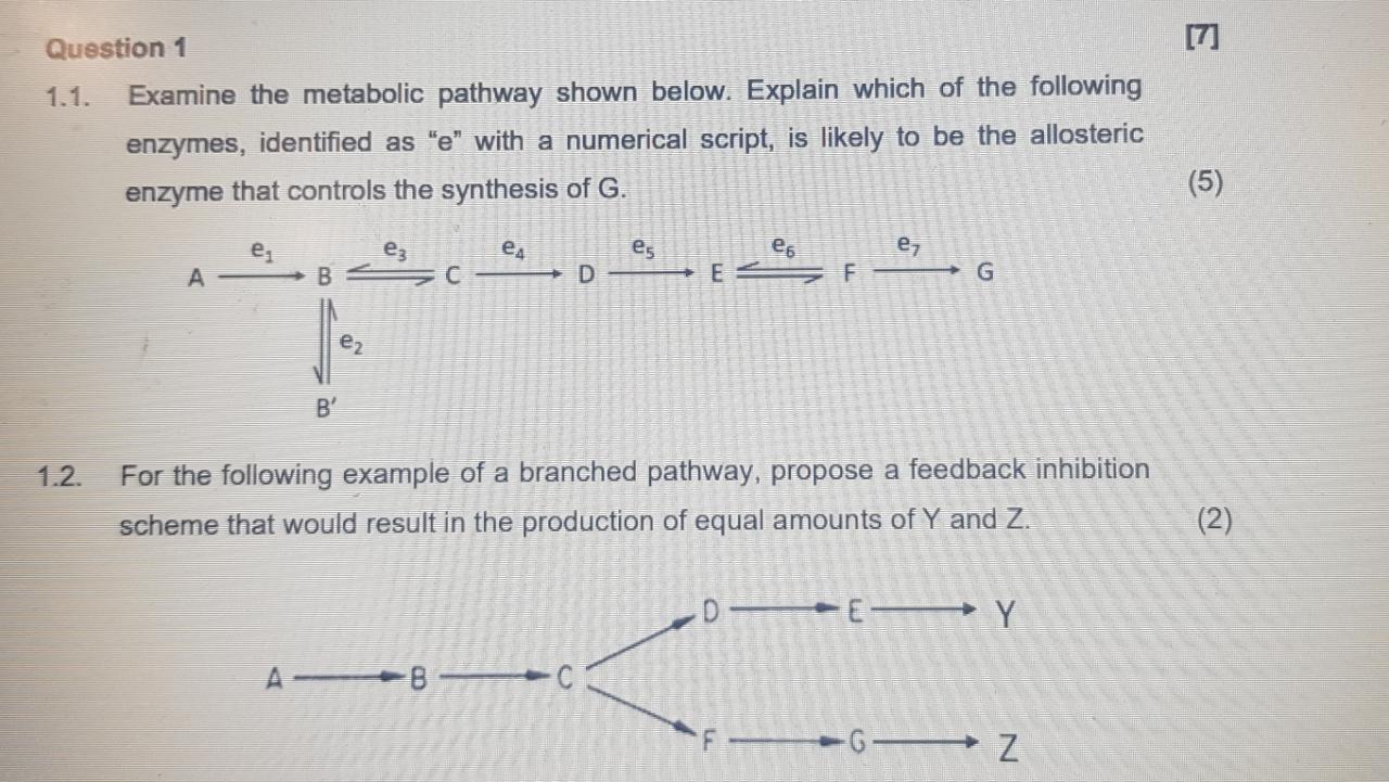 Solved [7] Question 1 1.1. Examine the metabolic pathway | Chegg.com