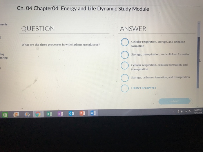 Solved Ch. 04 Chapter04: Energy and Life Dynamic Study | Chegg.com