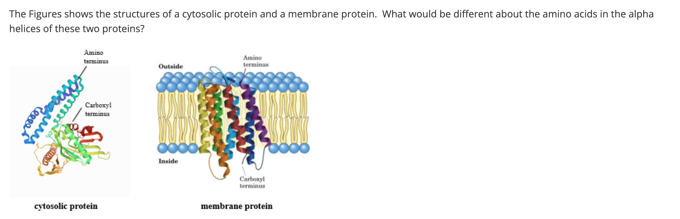 Solved The Figures shows the structures of a cytosolic | Chegg.com