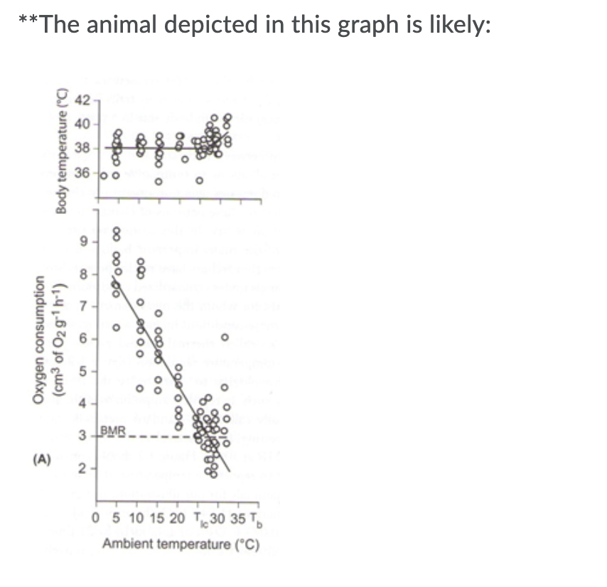 Solved 13a. The animal depicted in this graph is | Chegg.com