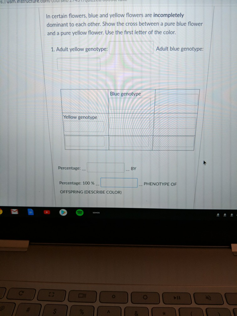 Solved s://usm.instructure.com/cou ı ses ''yul In certain | Chegg.com
