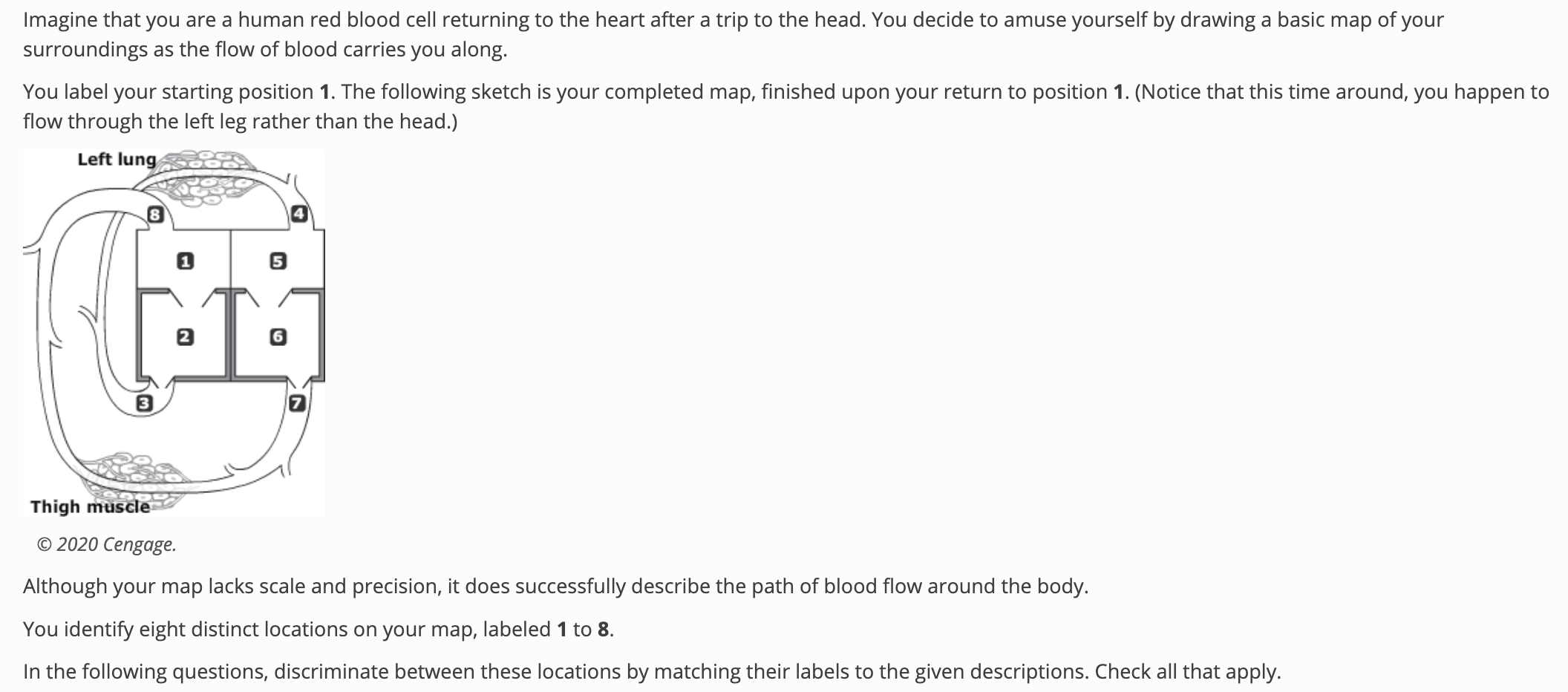 Solved 1. Of the three vessel types pictured, _______ | Chegg.com