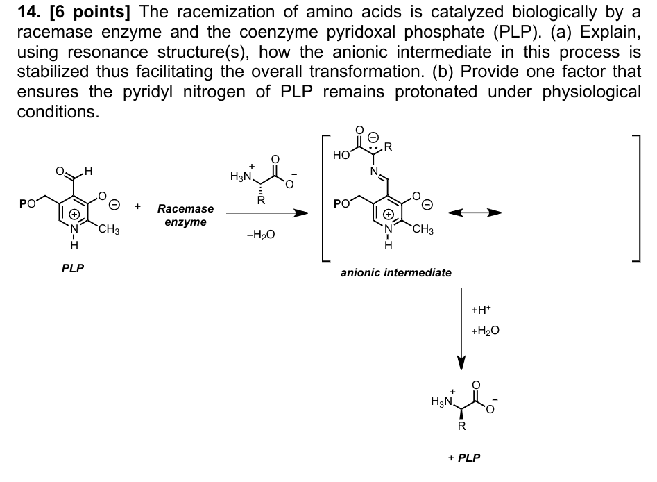 Solved 14. [6 points] The racemization of amino acids is | Chegg.com