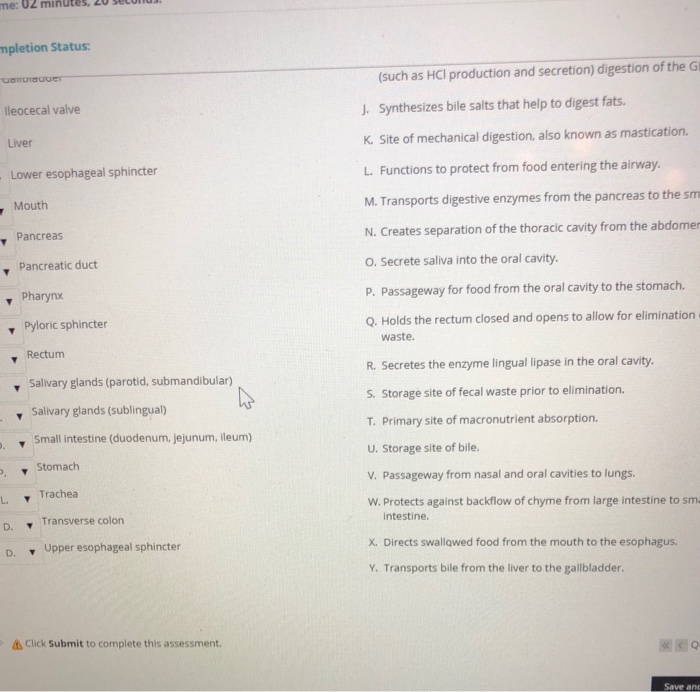 Solved mpletion Status 25 point e components of the Gl tract | Chegg.com