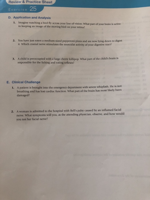 Solved Review & Practice Sheet Exercise D. Application and | Chegg.com