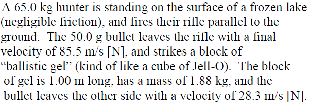 Solved A 65.0 kg hunter is standing on the surface of a | Chegg.com