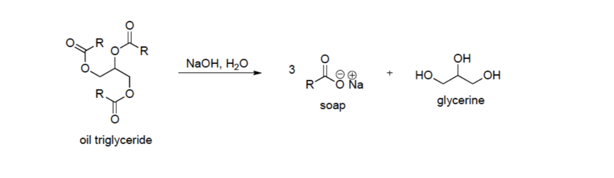 Solved Using the table provided calculate the moles for each | Chegg.com