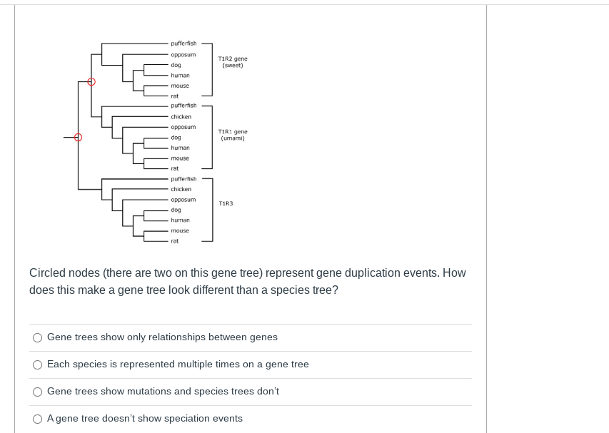Solved To understand the evolution of taste, you first need | Chegg.com
