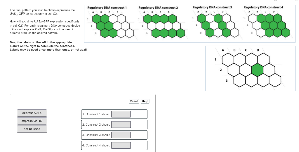 Solved The final pattern you wish to obtain expresses | Chegg.com