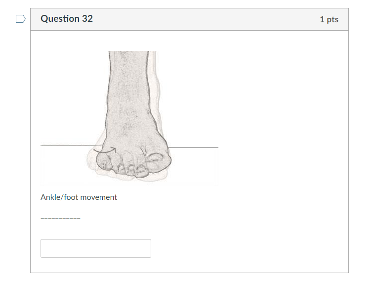 Solved Complete the following Lab Activity on Movement | Chegg.com