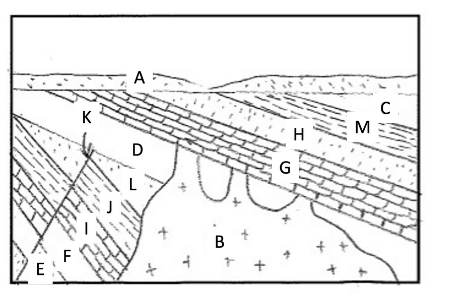 Solved - From OLDEST to YOUNGEST, list the NAME of each | Chegg.com