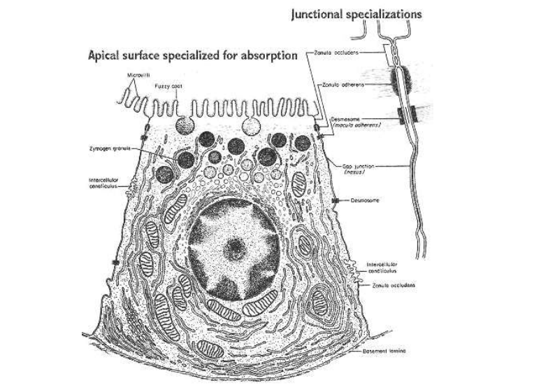 Solved could you please give some clear boundaries on this | Chegg.com