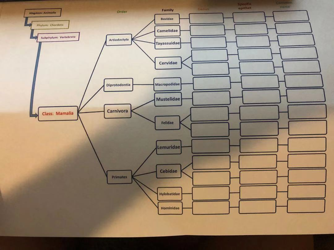 Solved Common name Specific epithet Genus fortaise Gatapages | Chegg.com